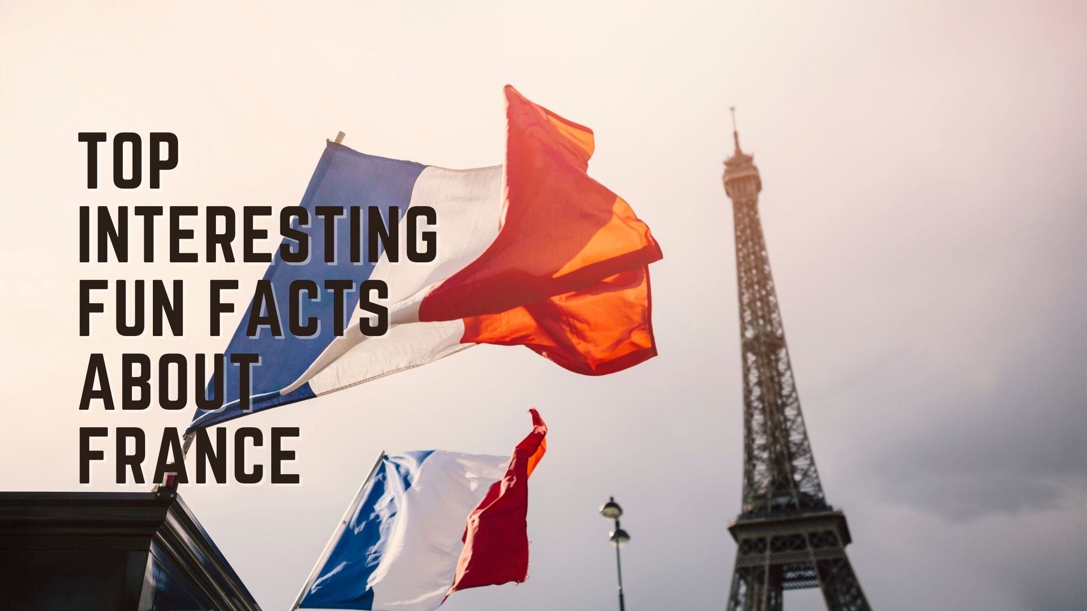 Best French Lessons in Paris – Tailored Classes for Every Level